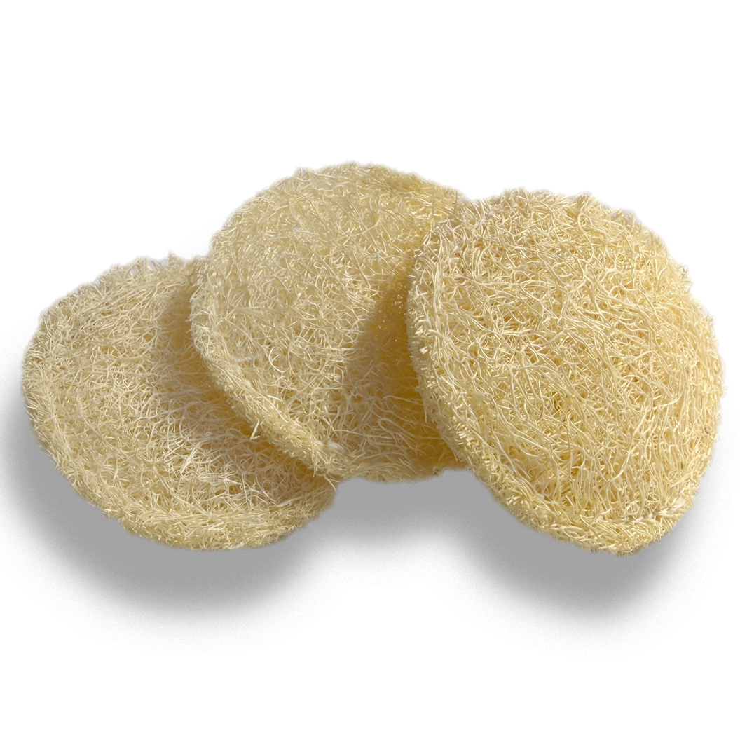 ¿Qué es una esponja de luffa? Beneficios, usos y sostenibilidad ...