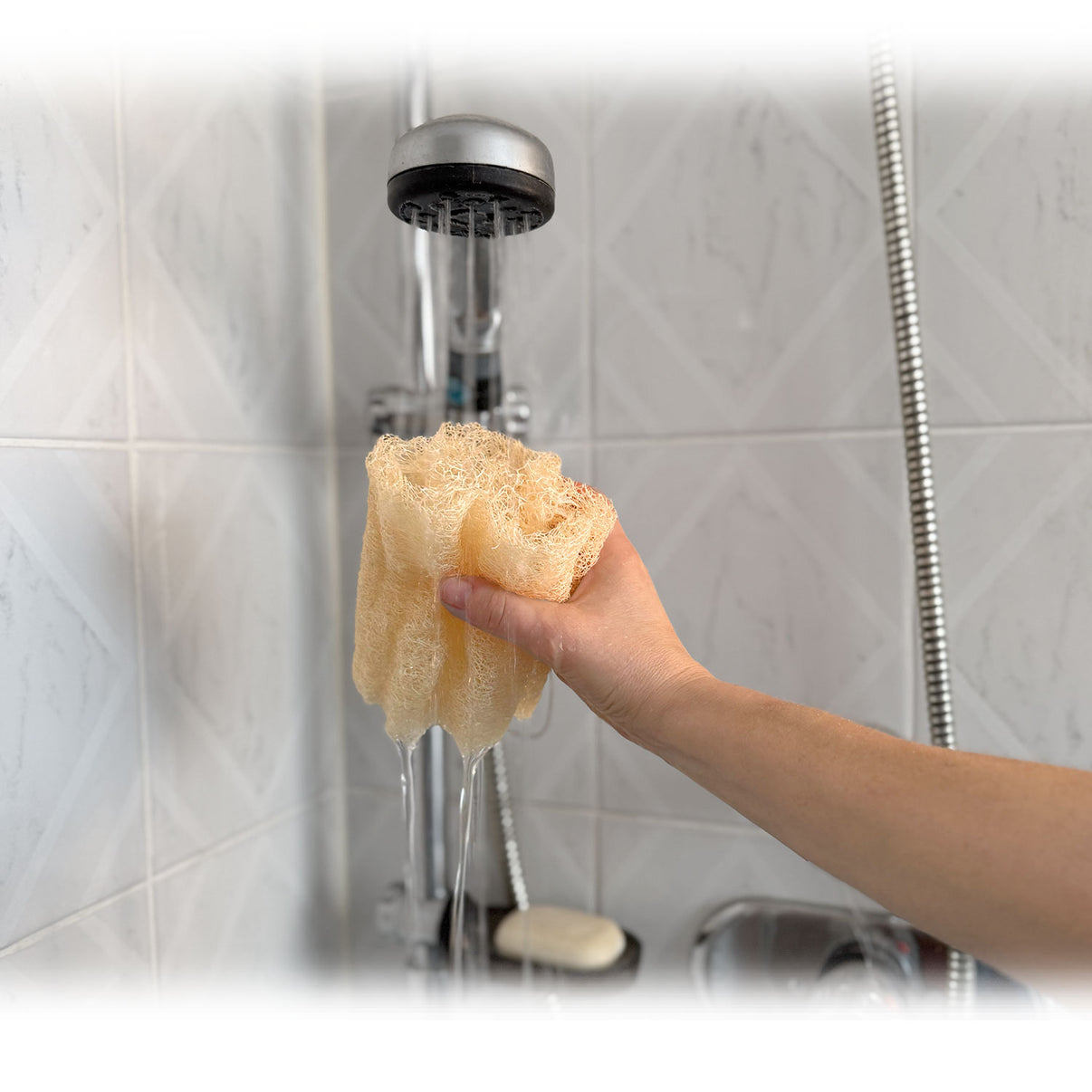Lufira Loofah Shower Sponge – Natural, Foamy & Compostable – Iberluffa ...