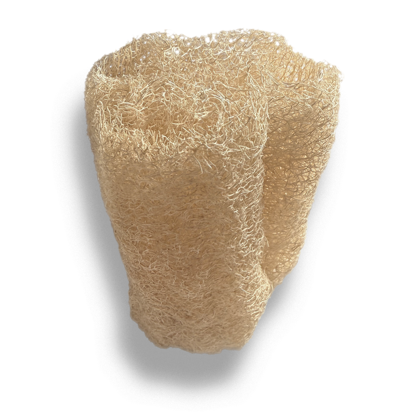 Lufira Loofah Shower Sponge – Natural, Foamy & Compostable – Iberluffa ...