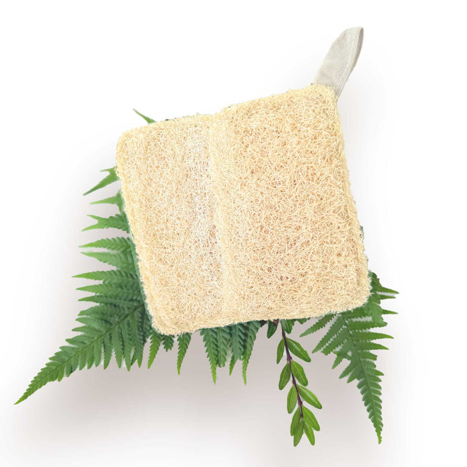 Natural Loofah Sponges | Plastic-Free & Zero Waste | Iberluffa ...