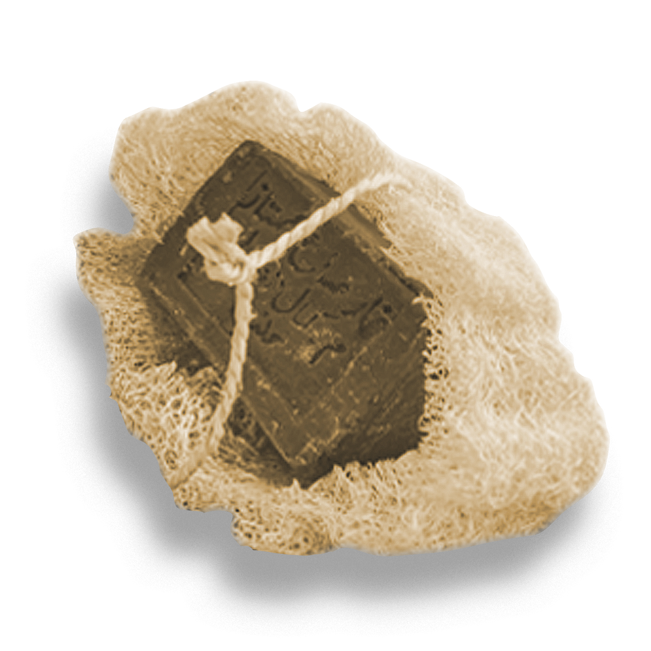 Natural Loofah Sponges | Plastic-Free & Zero Waste | Iberluffa ...