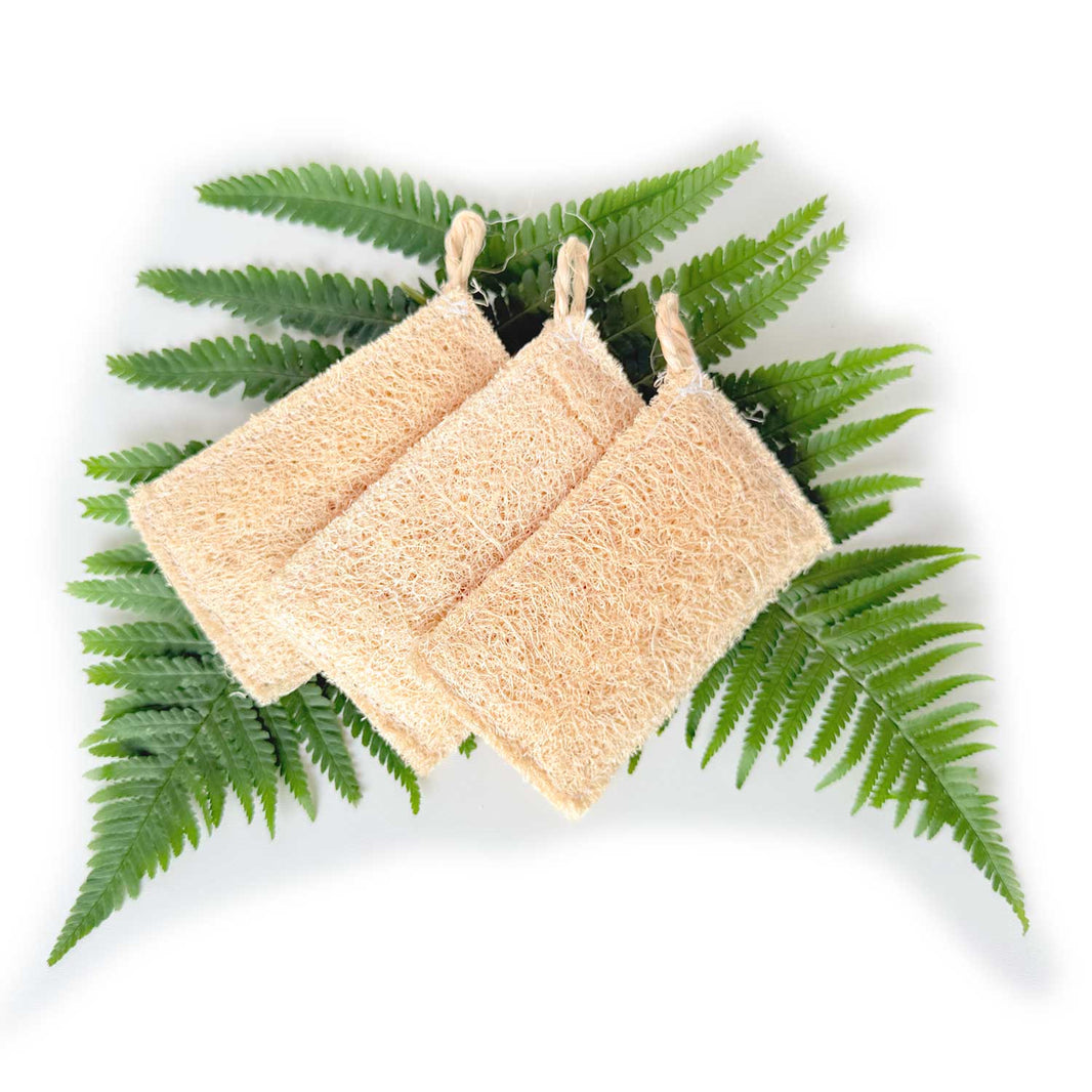 Natural Loofah Sponges | Plastic-Free & Zero Waste | Iberluffa ...
